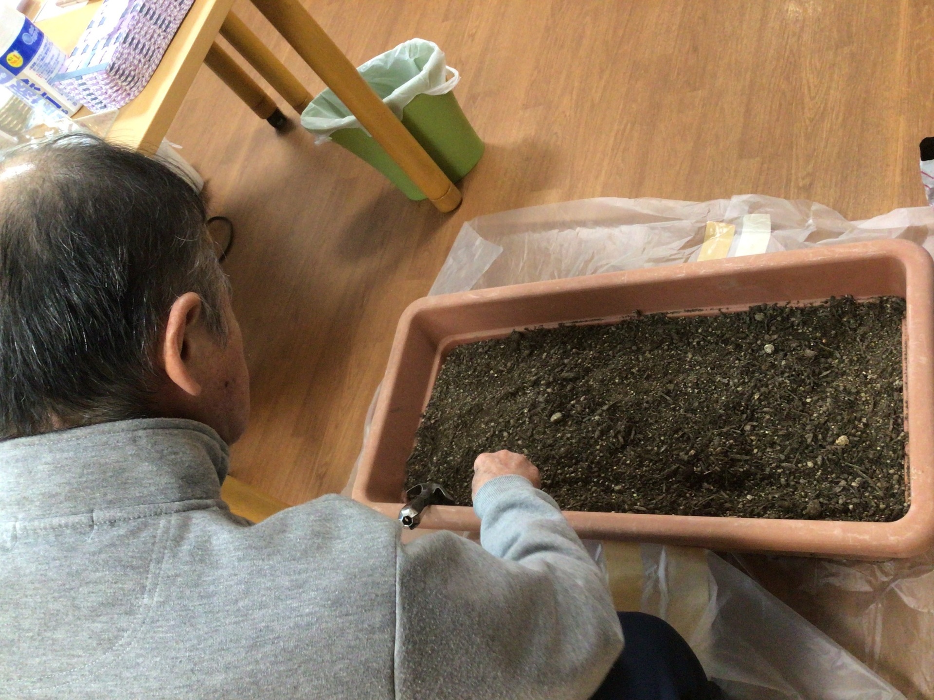 つるなしえんどう: Machico Blog（まちこブログ）